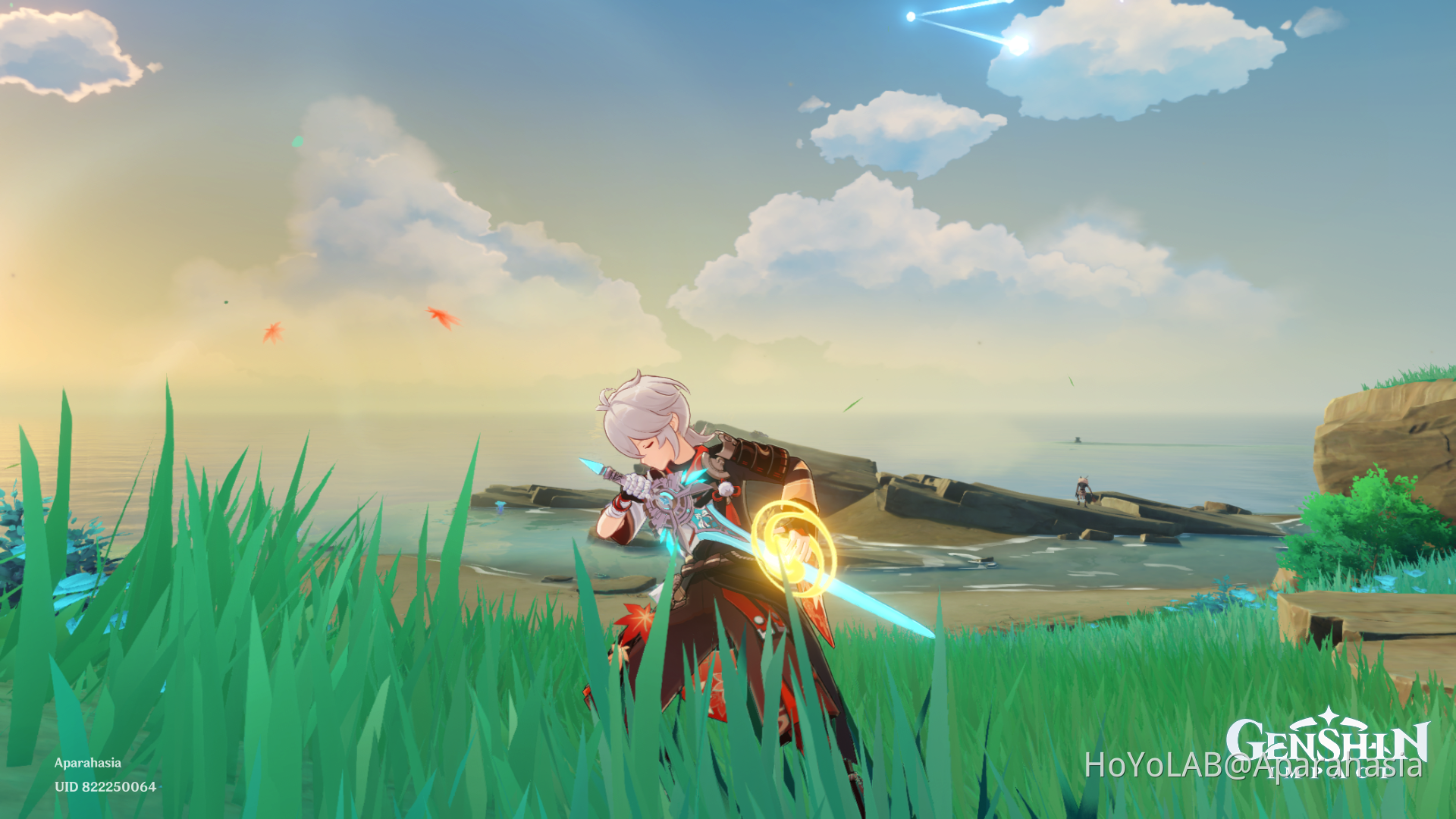 The Wind Wanderer Genshin Impact | HoYoLAB