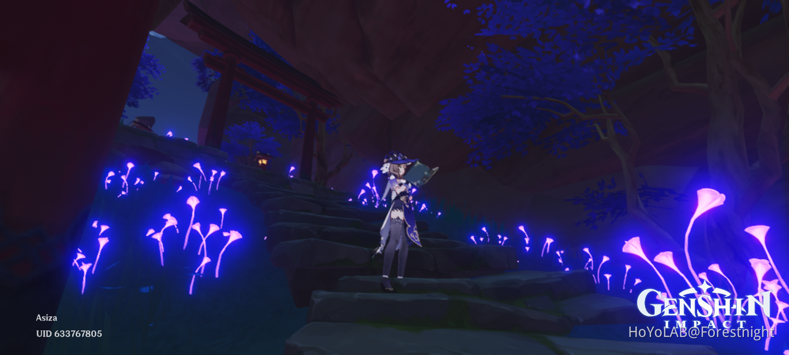 Midnight Reading Genshin Impact | HoYoLAB