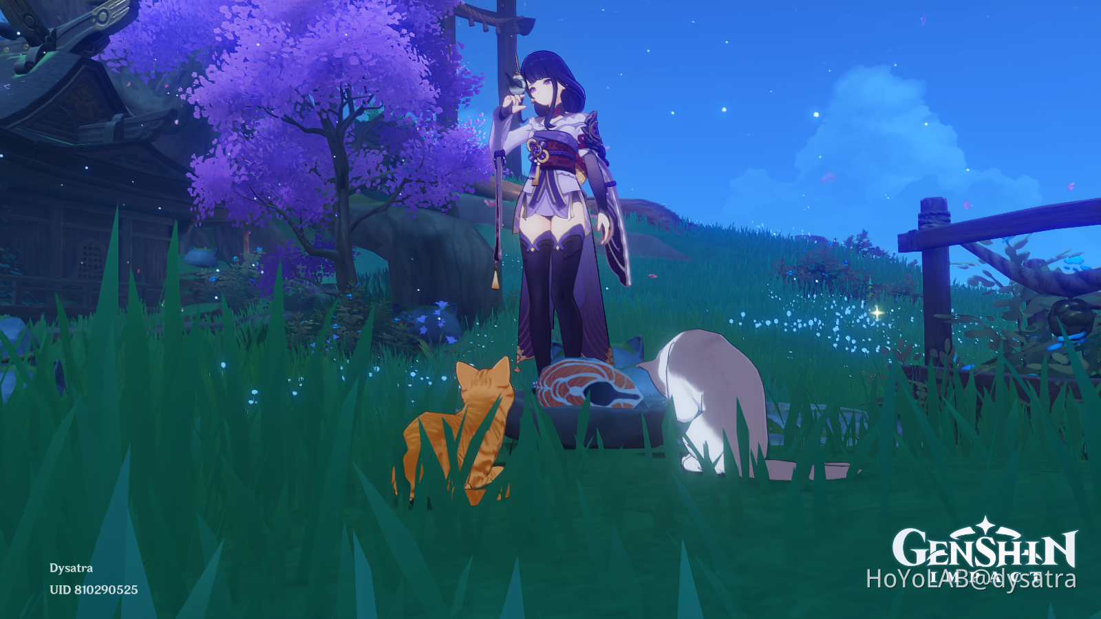 RAIDEN SHOGUN LOVES CAT!!! Genshin Impact | HoYoLAB