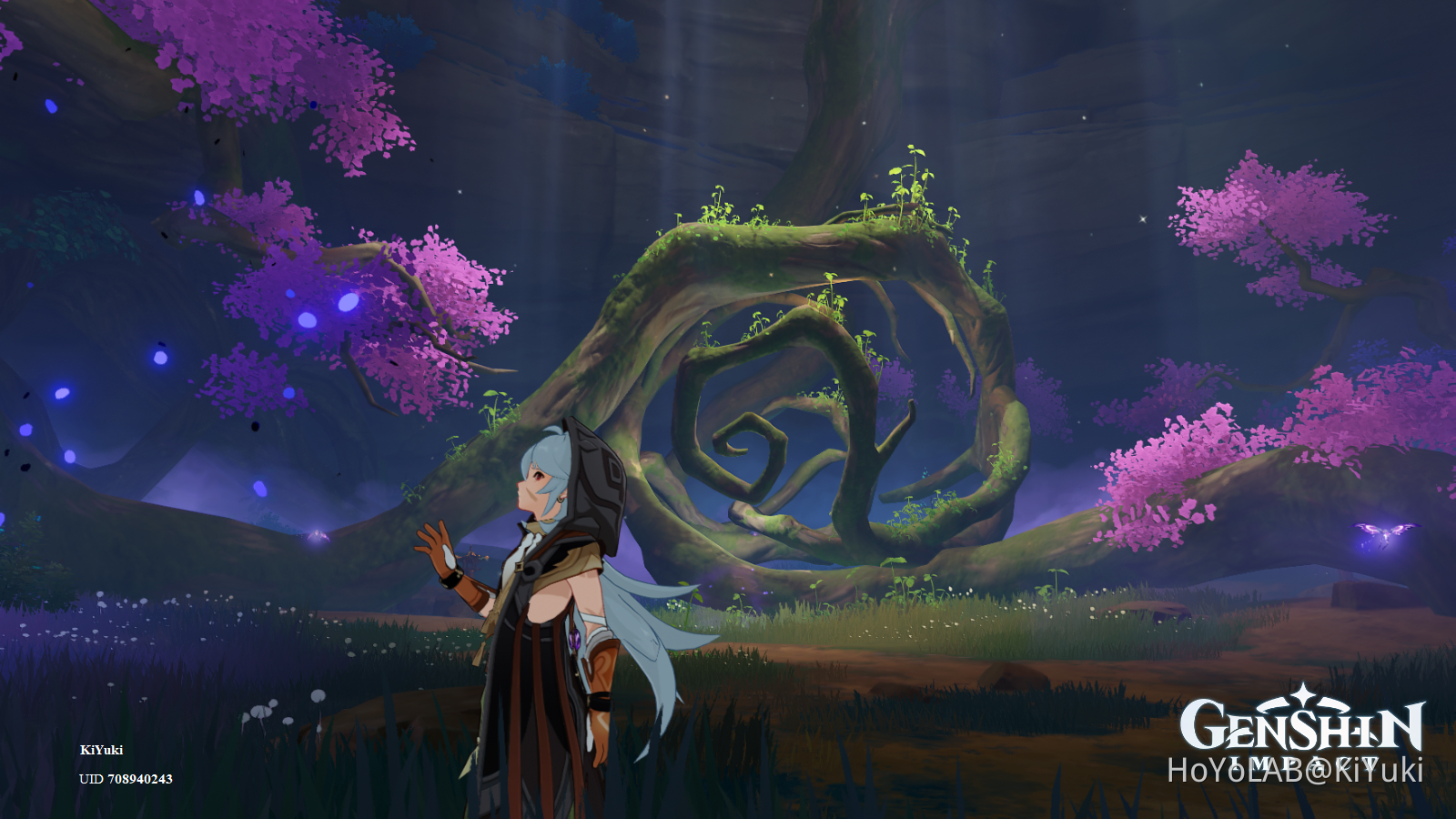 Raizor's Adventure in Inazuma Genshin Impact | HoYoLAB