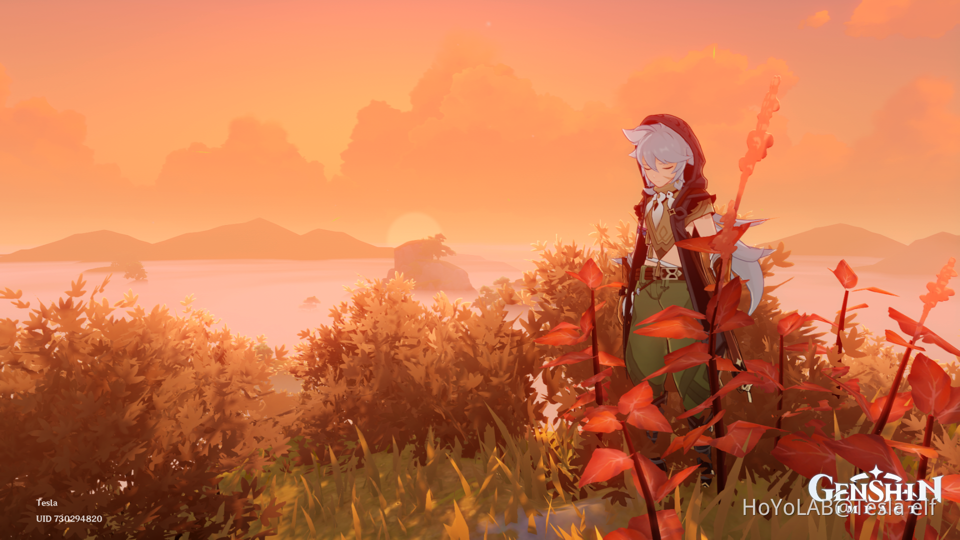 TESLA LIGHTNING ! ☆ | Genshin Impact | HoYoLAB