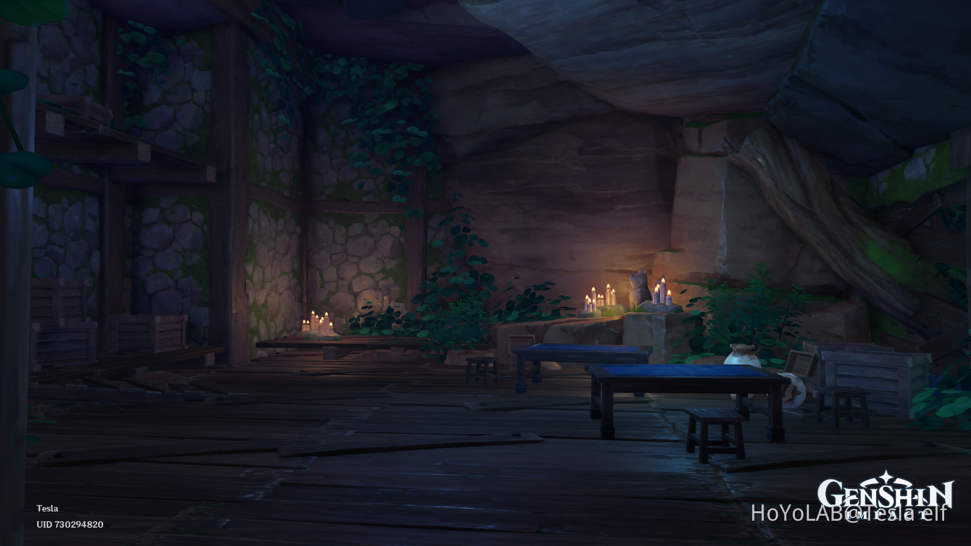 TESLA LIGHTNING ! ☆ | Genshin Impact | HoYoLAB