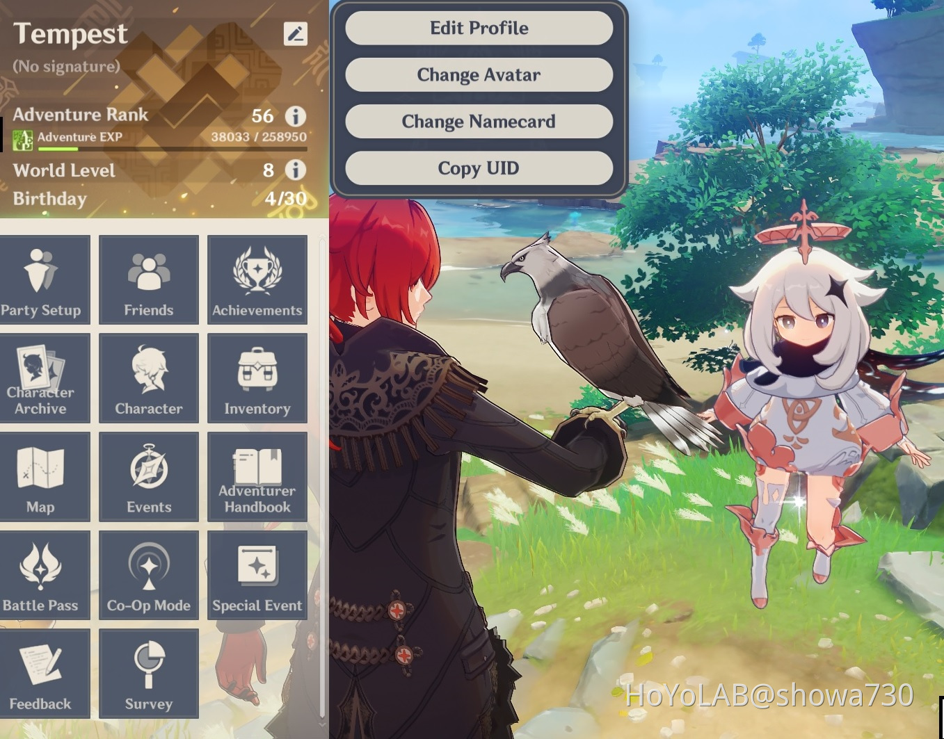 Missing Signature Button Genshin Impact | HoYoLAB