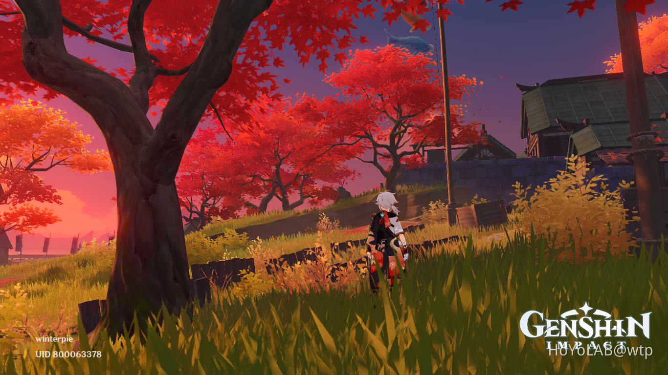 The Autumn in Inazuma Genshin Impact | HoYoLAB