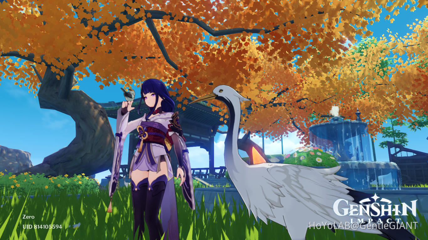Bird lover Genshin Impact | HoYoLAB
