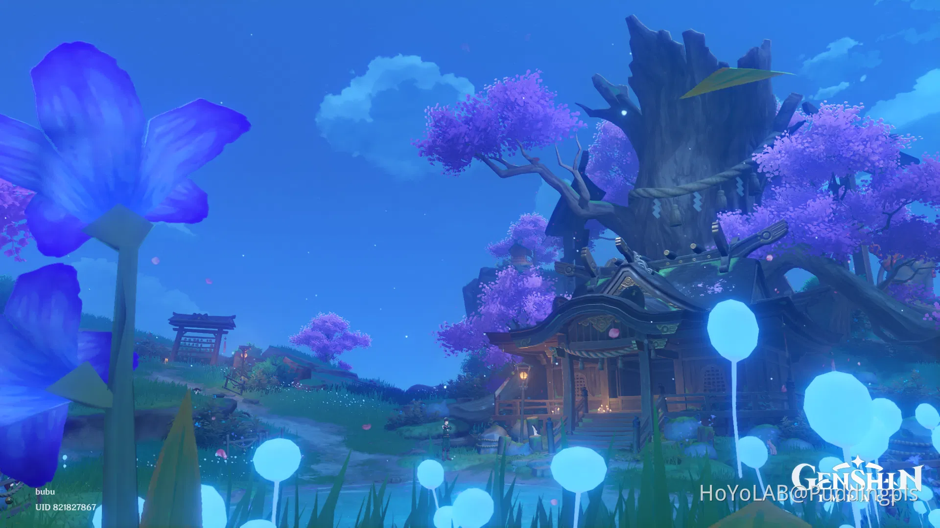 Neko Island Genshin Impact | HoYoLAB