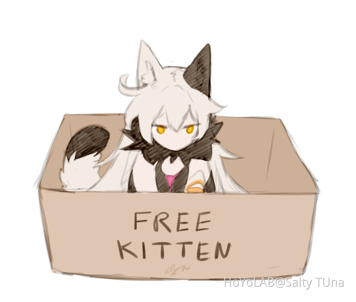 Free kitten Honkai Impact 3rd | HoYoLAB
