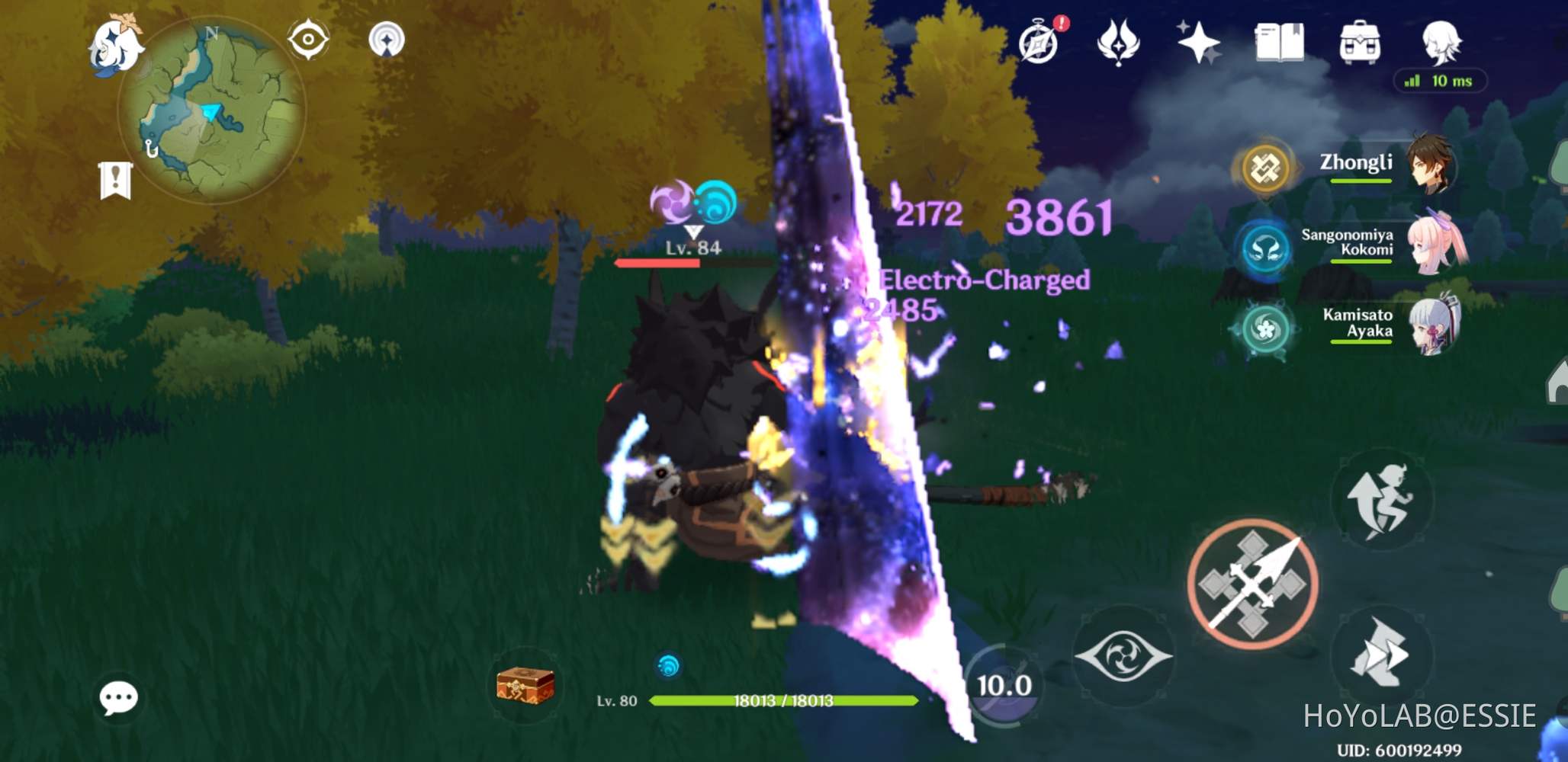 Raiden Shogun and Sangonomiya Kokomi Guide! Genshin Impact | HoYoLAB