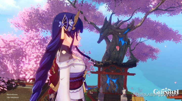 Raiden Shogun with Sacred Sakura Genshin Impact | HoYoLAB