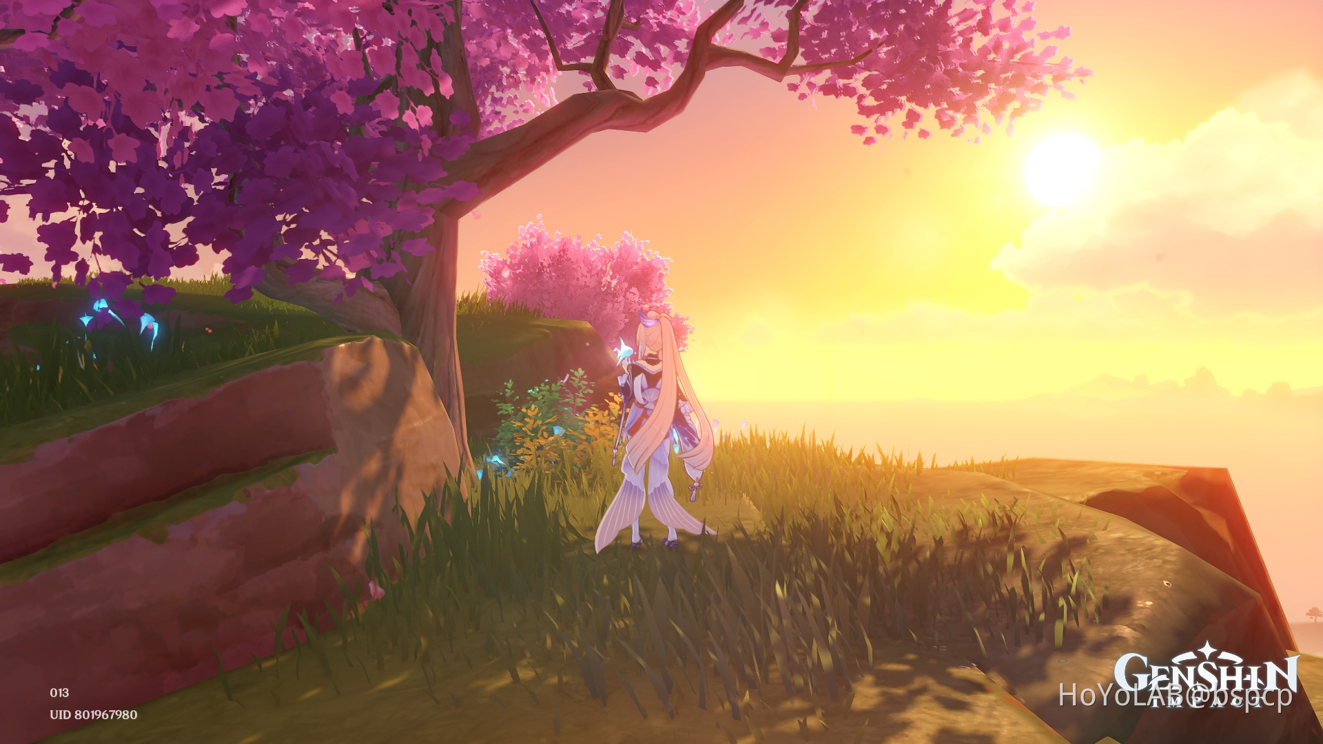 Chase the sunset ☀️ (3/4) Genshin Impact | HoYoLAB