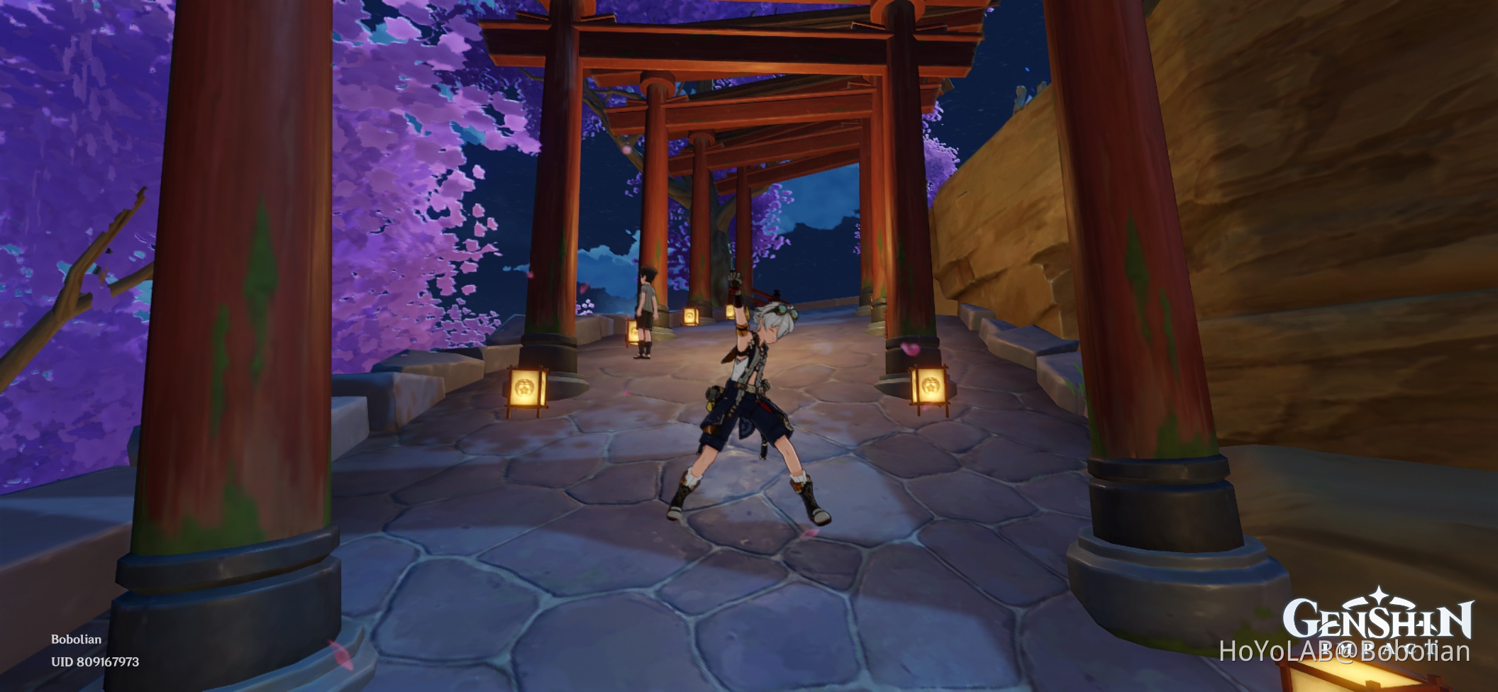 National Team | Genshin Impact | HoYoLAB