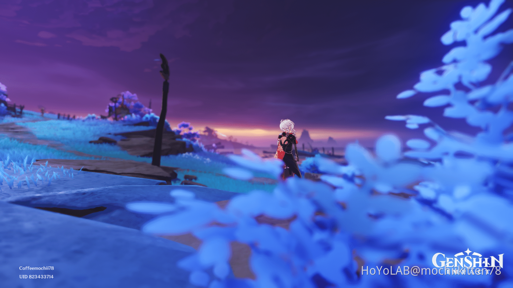 A Guide to the Best Views on Seirai Island and Watatsumi Island, by ...