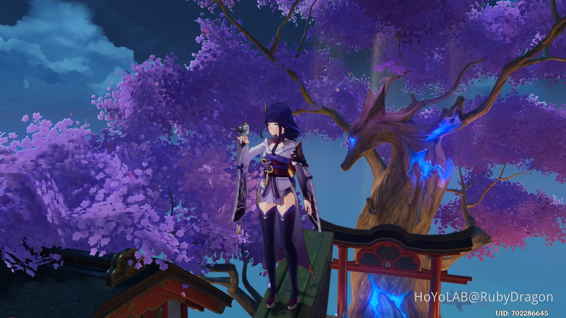 Fly bird fly Genshin Impact | HoYoLAB