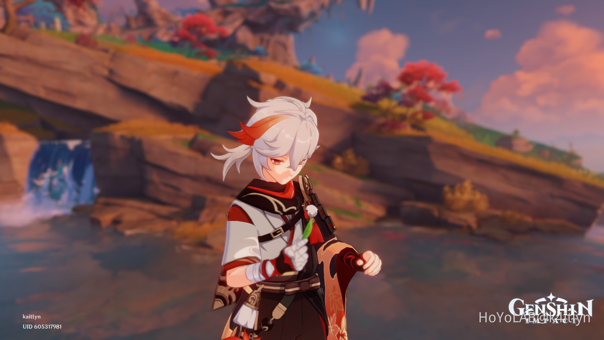 A stray leaf Genshin Impact | HoYoLAB