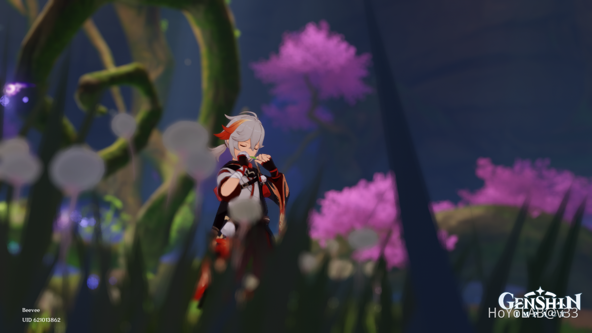 Kazuha, Sakura Cleansing Ritual Genshin Impact | HoYoLAB