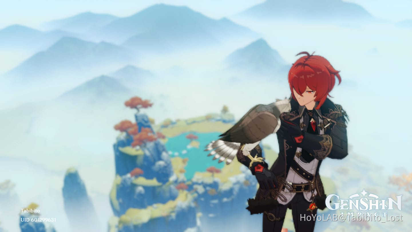 Diluc and Hawk Genshin Impact | HoYoLAB