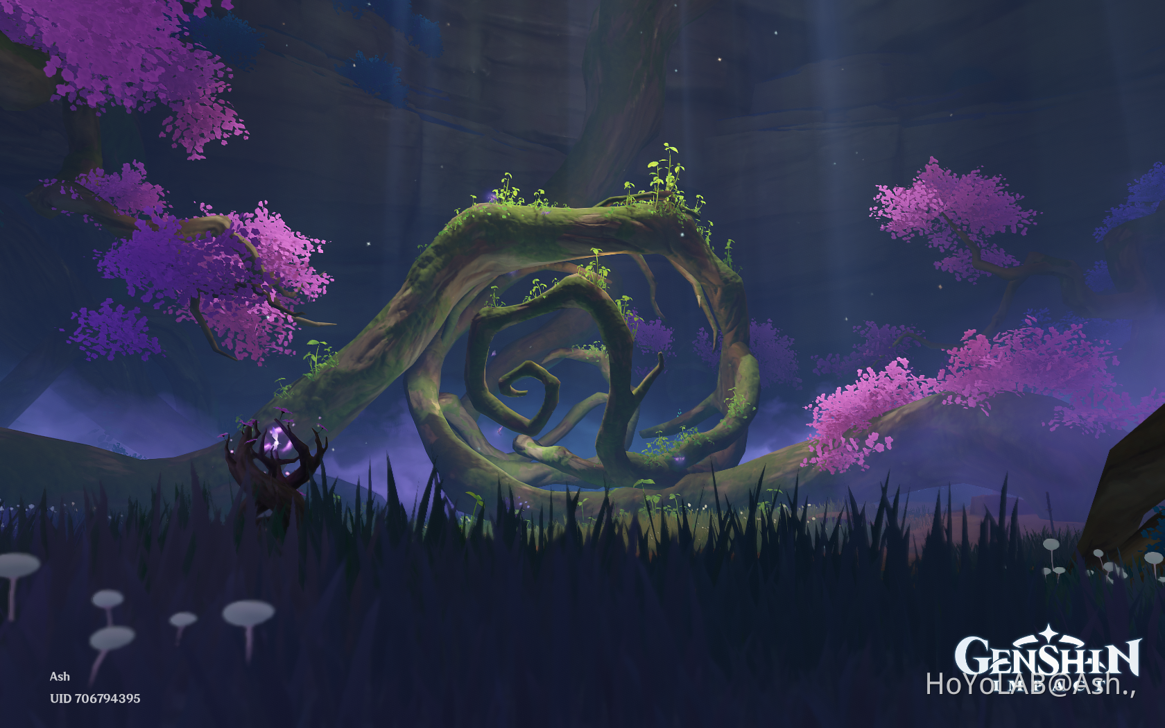 peace Genshin Impact | HoYoLAB