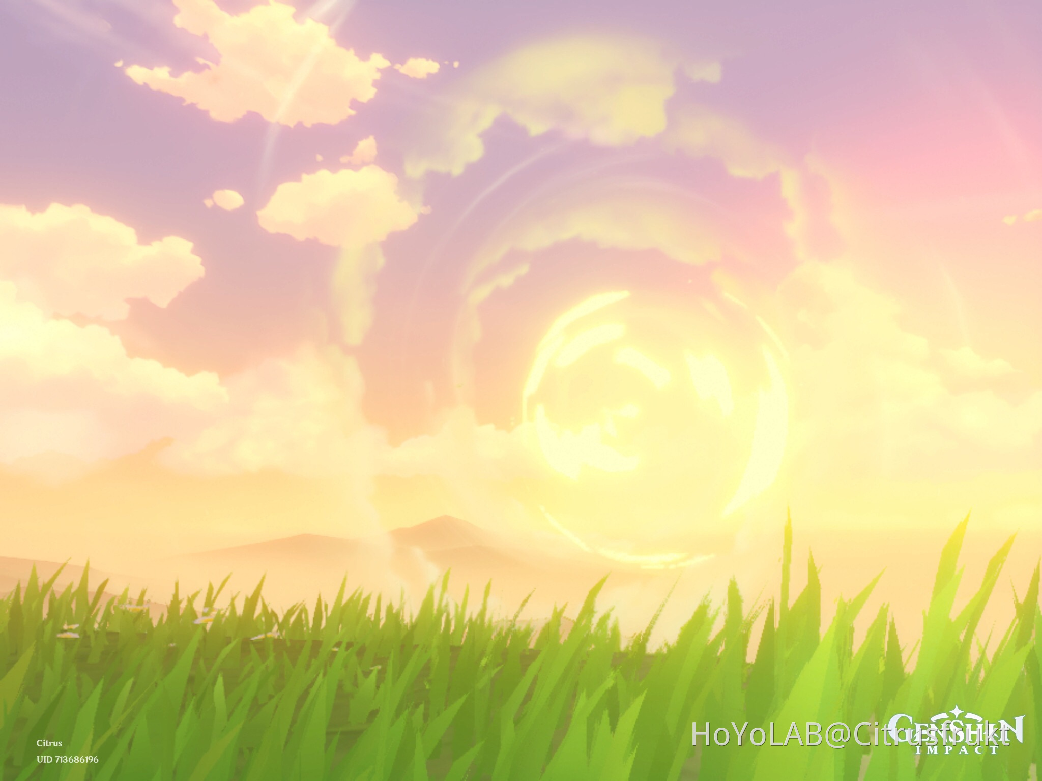 Pretty sun :) Genshin Impact | HoYoLAB