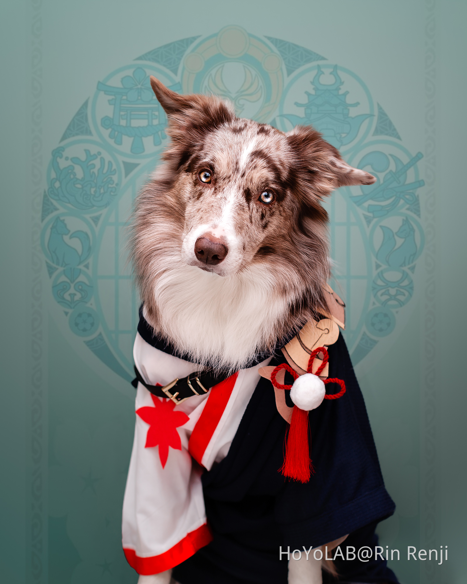 Kazuha dogsplay Genshin Impact | HoYoLAB