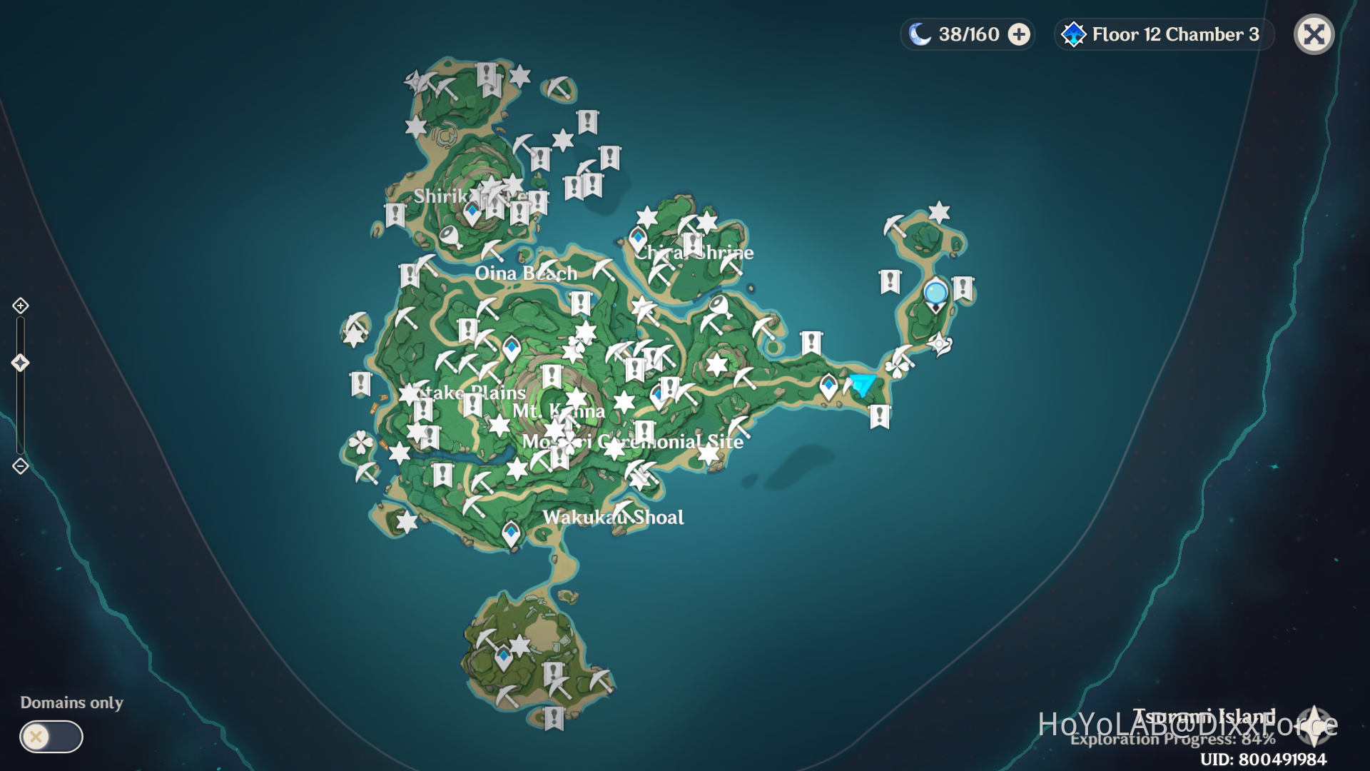 Tsurumi Island (exploration progression 84%, maxed statue of the seven ...