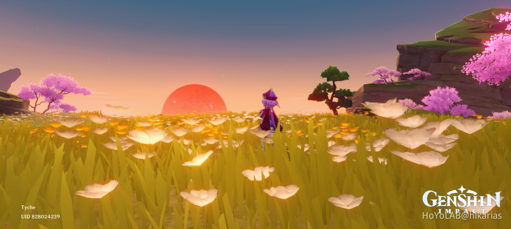 one thing i love about the new update Genshin Impact | HoYoLAB