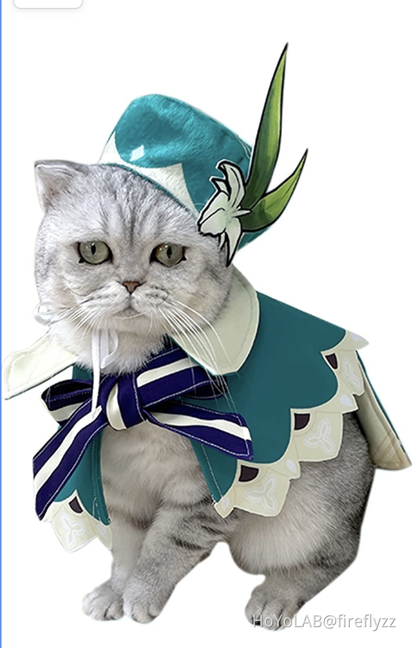 VENTI CAT 😻 Genshin Impact | HoYoLAB