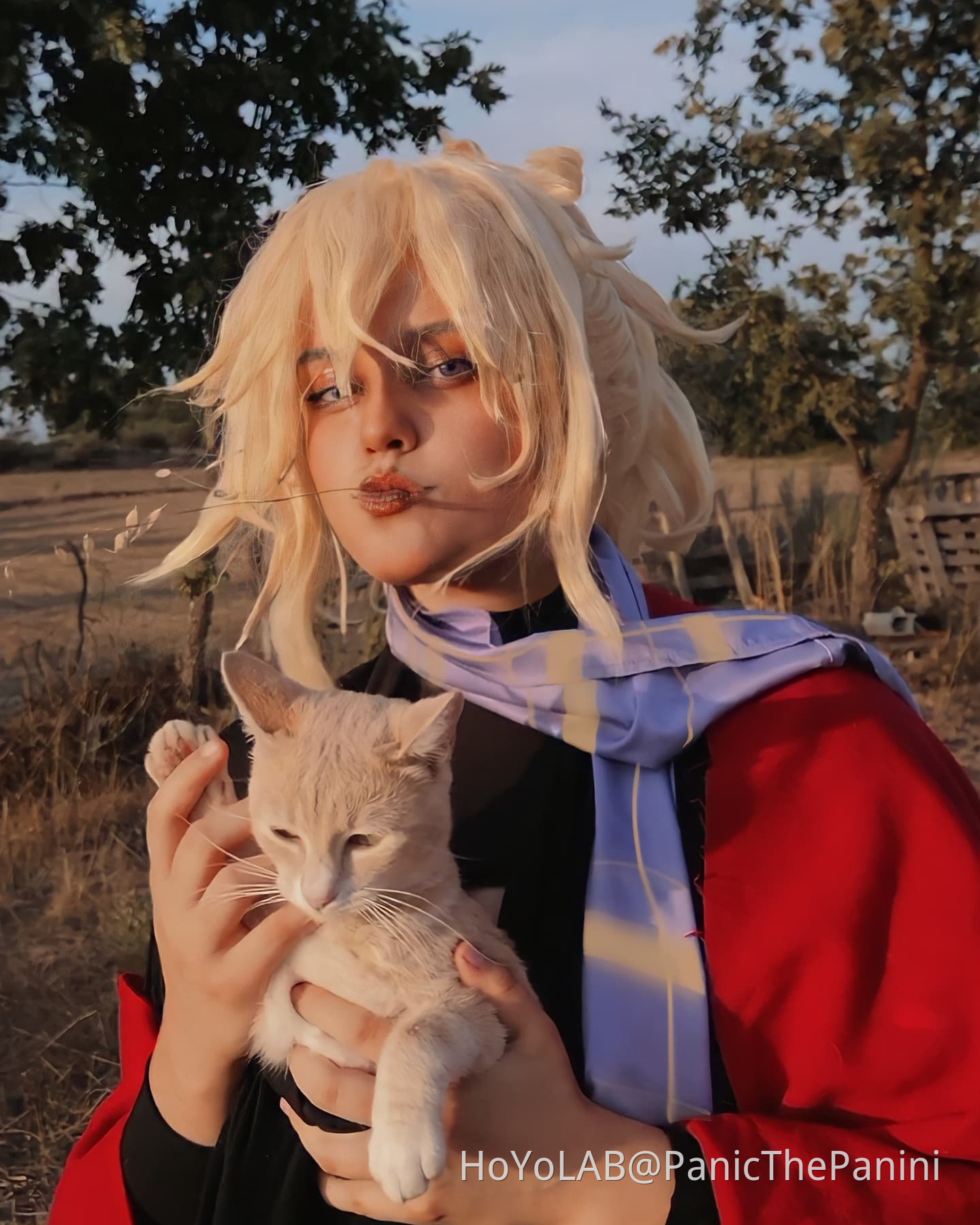 Happy first "bday" apperance Tomo :') | Genshin Impact | HoYoLAB