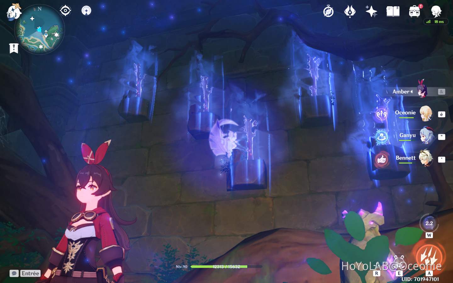 Exploration avec Amber : Succès des oiselles de l'île de Tsurumi Genshin Impact | HoYoLAB