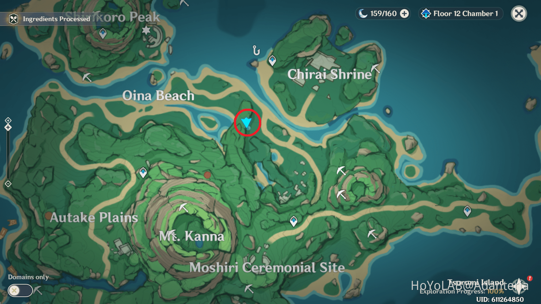 Hidden Exquisite Chest in simple puzzle in Inazuma. Genshin Impact ...