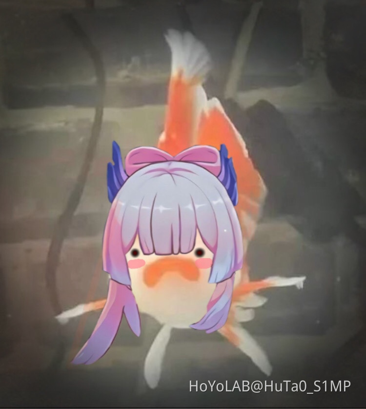 Kokomi fish kokomi fish 🐟 Genshin Impact | HoYoLAB