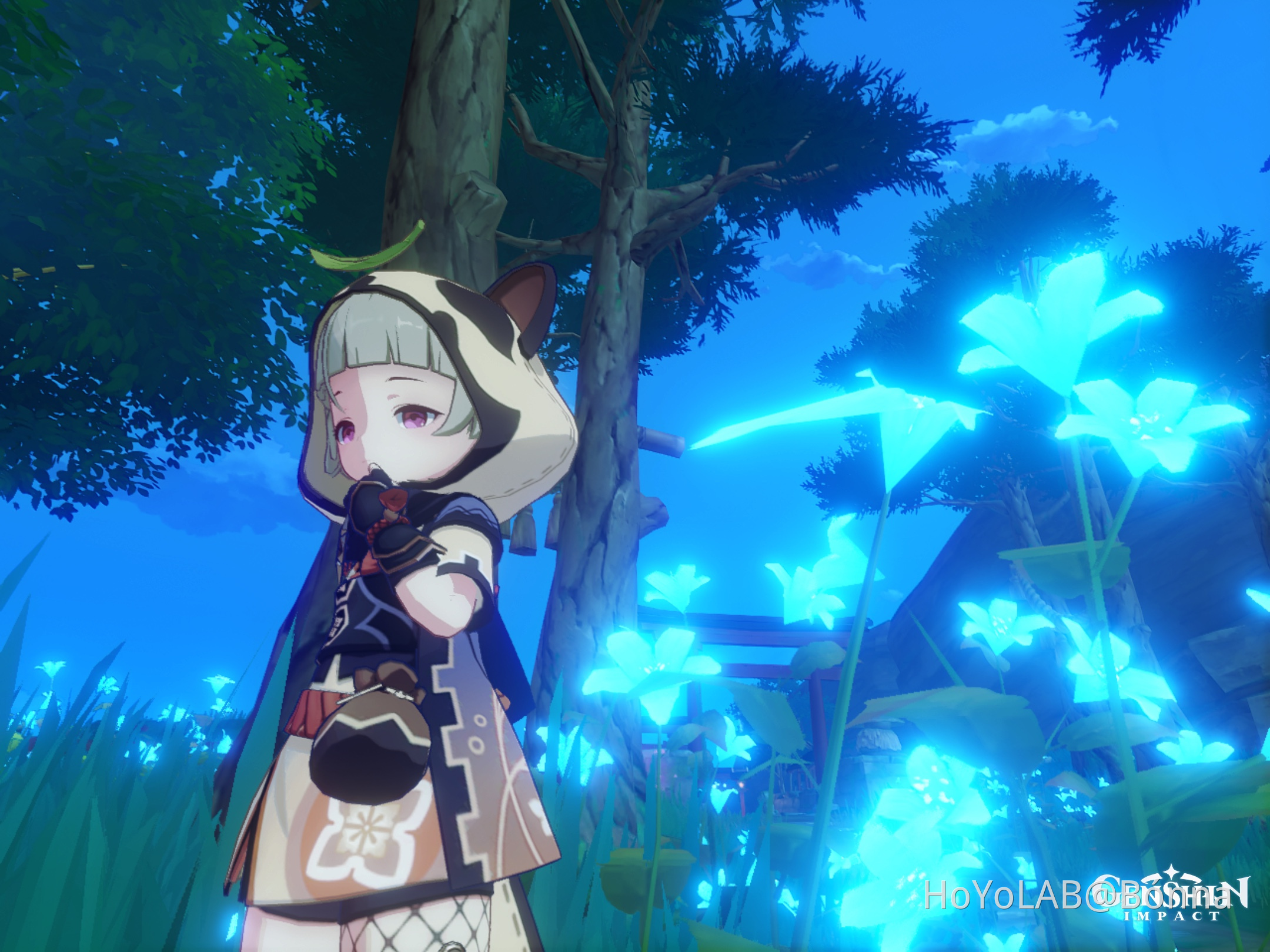 To my crystalfly collector ⭐️ Genshin Impact | HoYoLAB