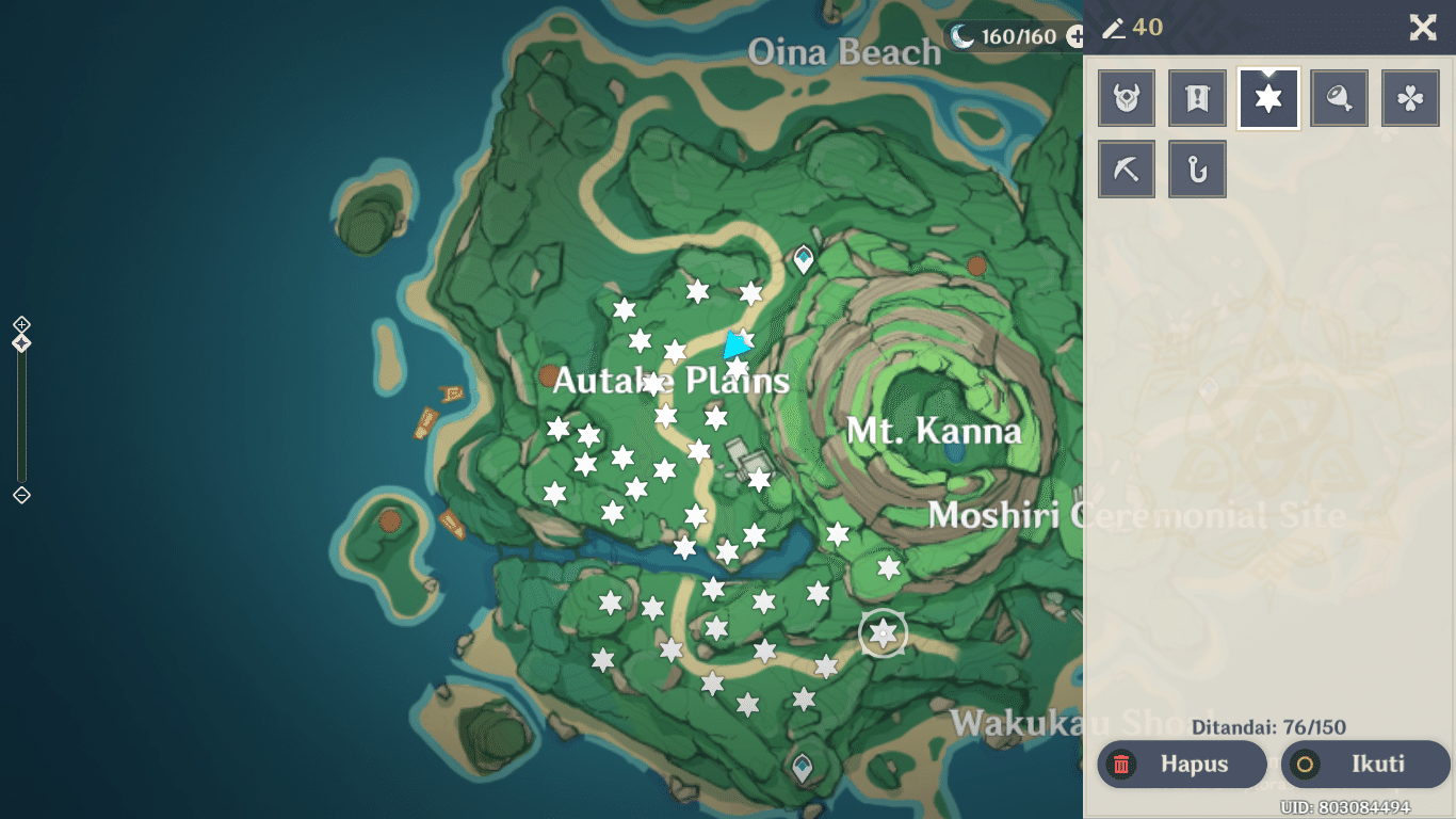 [Guide] [Versi 2.2]Semua lokasi Stormstone di Autake plains Genshin ...