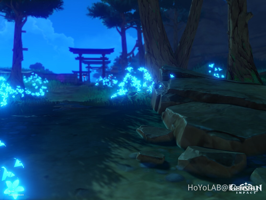 Inazuma is so pretty at night | Genshin Impact | HoYoLAB