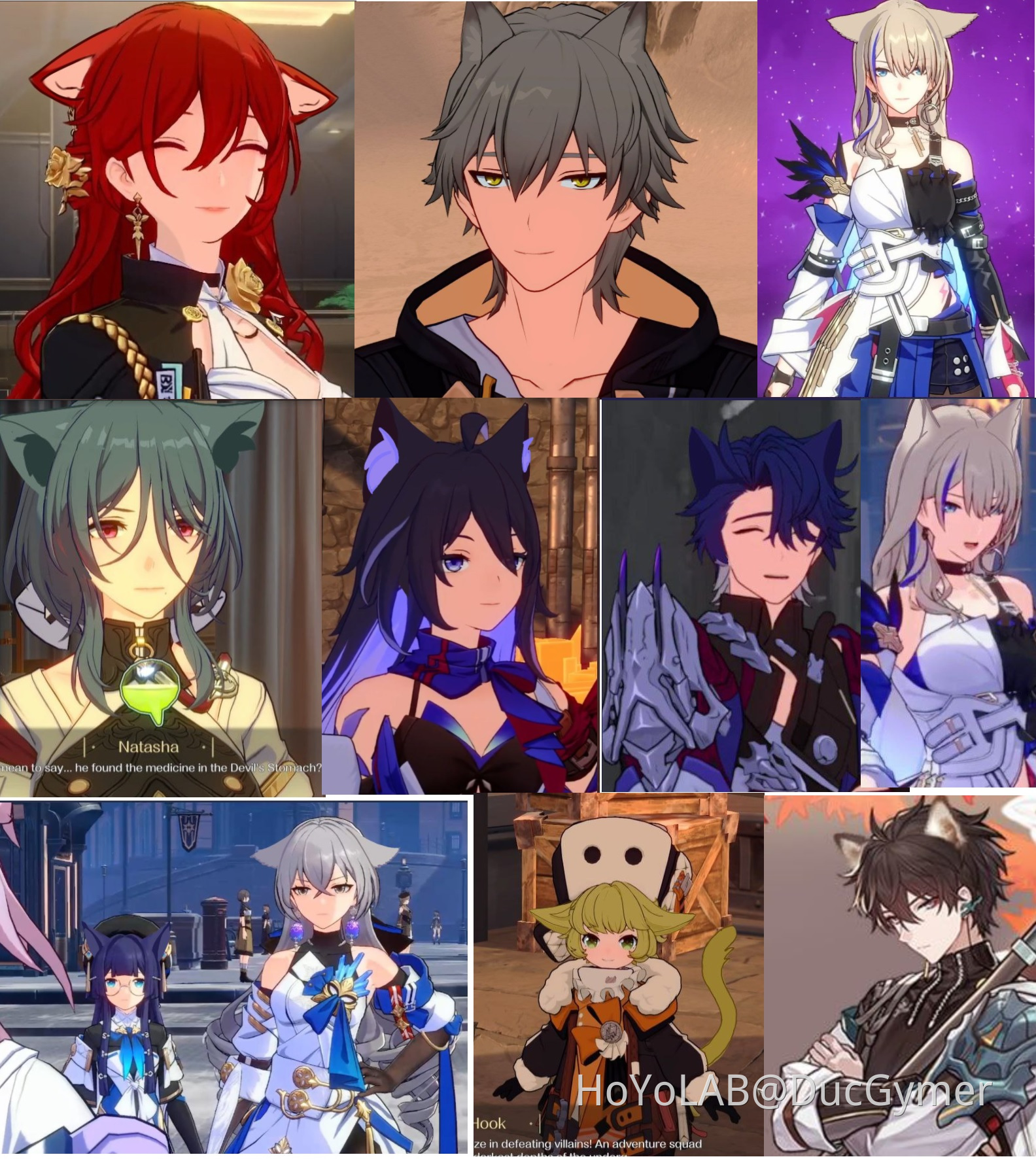 Honkai Star Cat Honkai: Star Rail | HoYoLAB