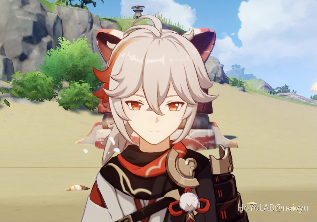 Cat Kazuha 🐱 Genshin Impact | HoYoLAB