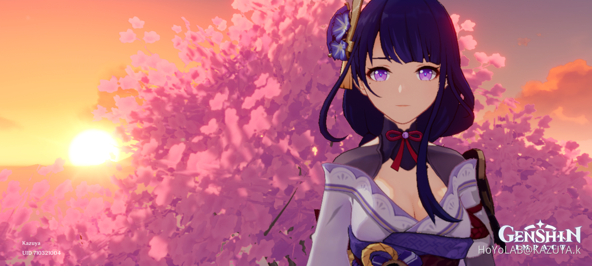 DAILY RAIDEN Genshin Impact | HoYoLAB