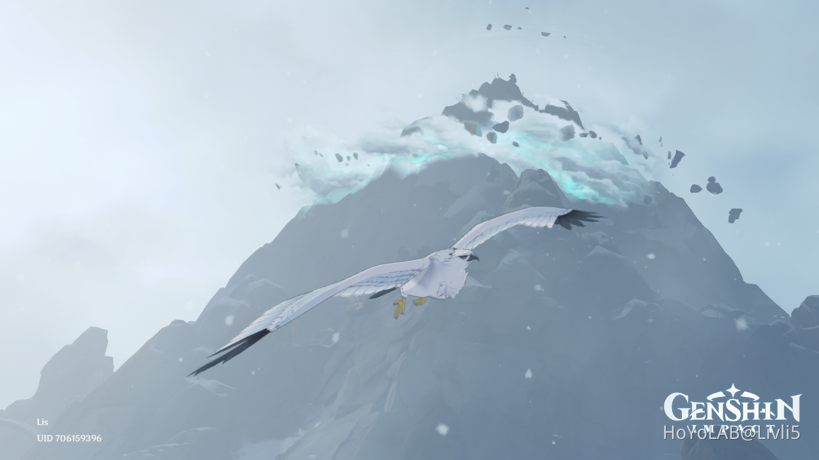 Day 18: Bird Genshin Impact | HoYoLAB