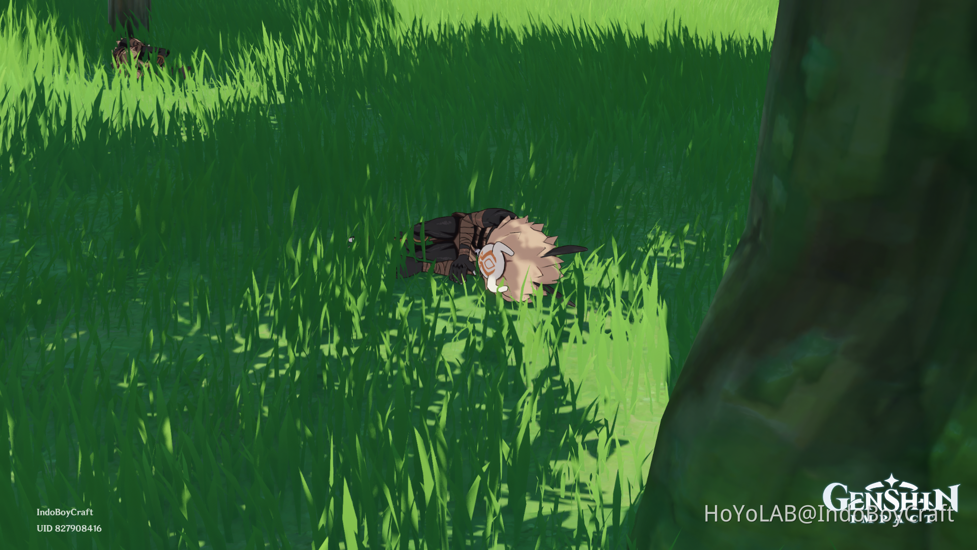 SLEEP Genshin Impact | HoYoLAB