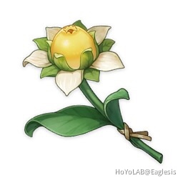 A Guide about Flowers- In Genshin Impact Genshin Impact | HoYoLAB