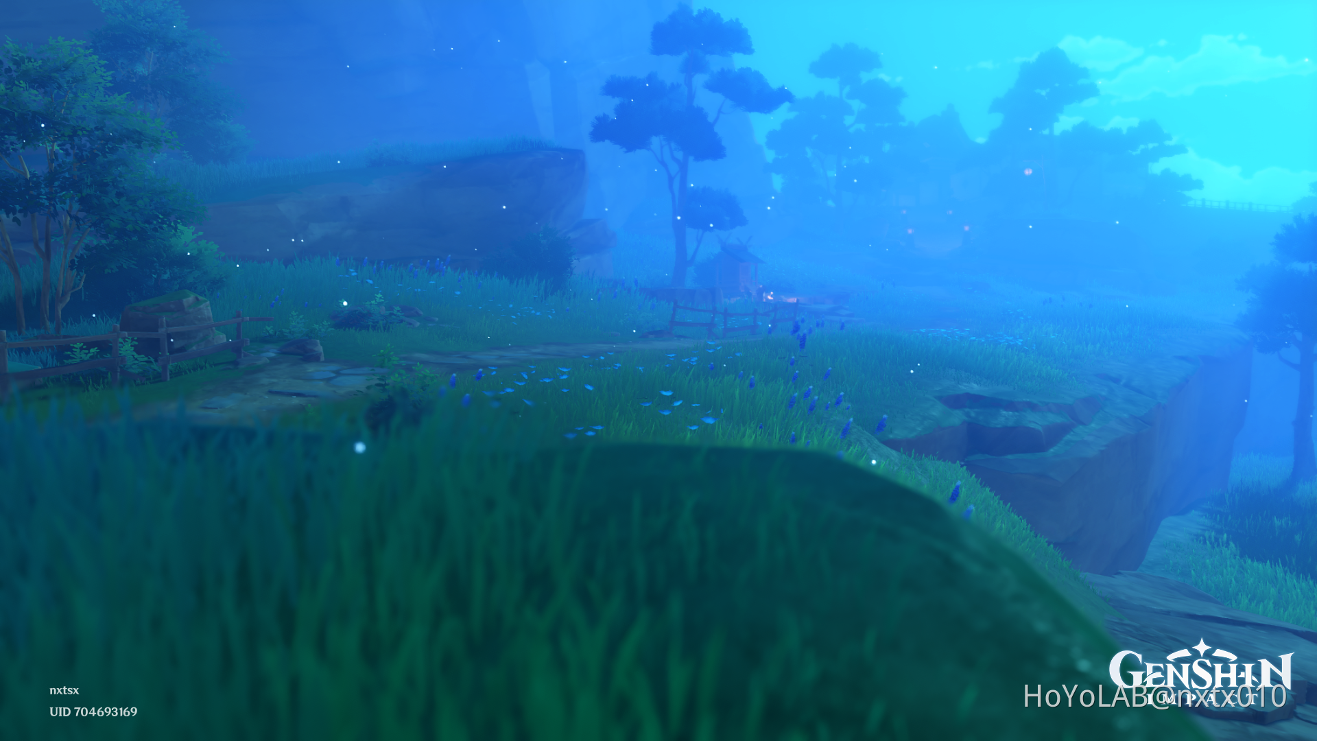 inazuma is so pretty | Genshin Impact | HoYoLAB