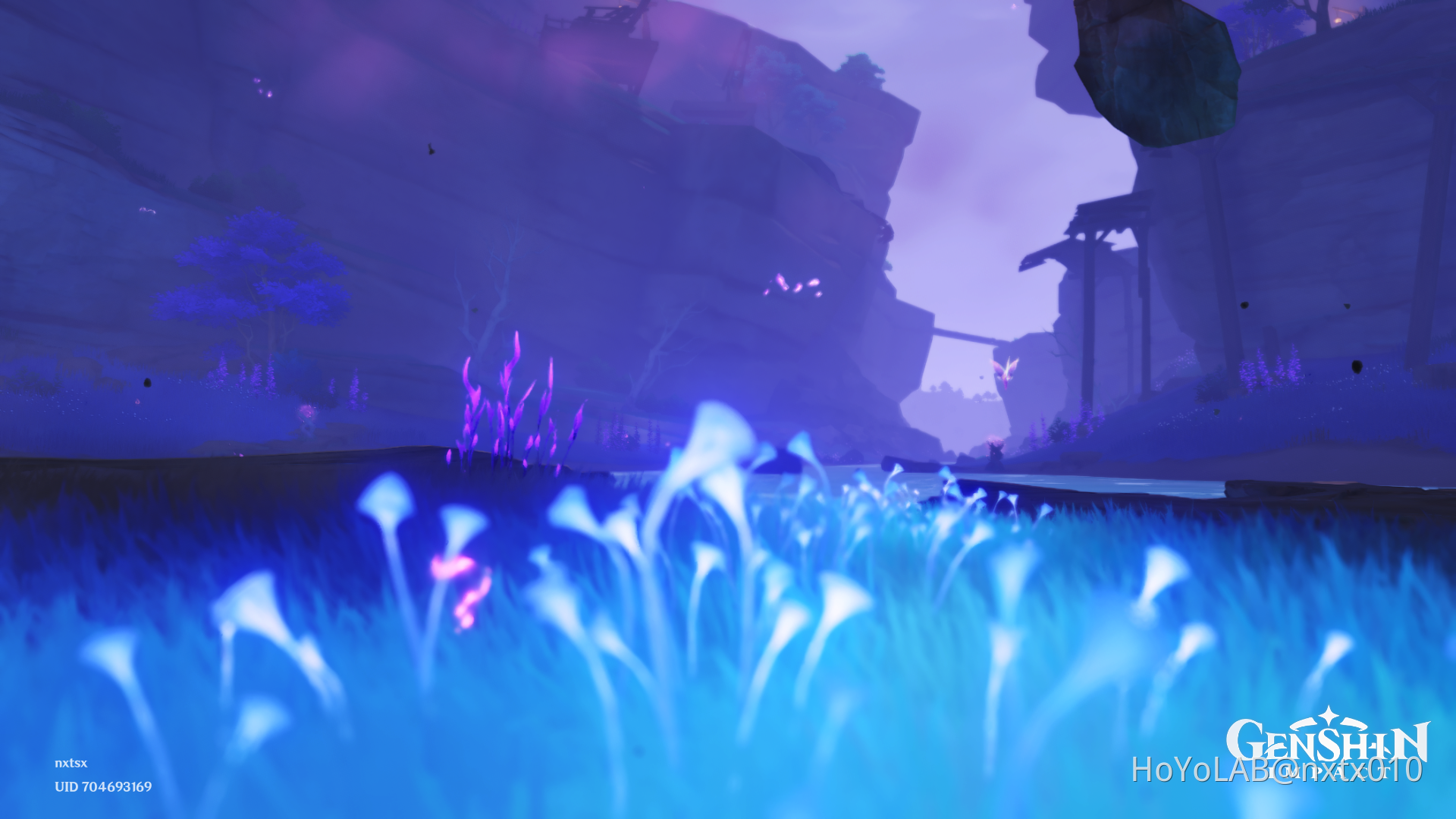 inazuma is so pretty | Genshin Impact | HoYoLAB