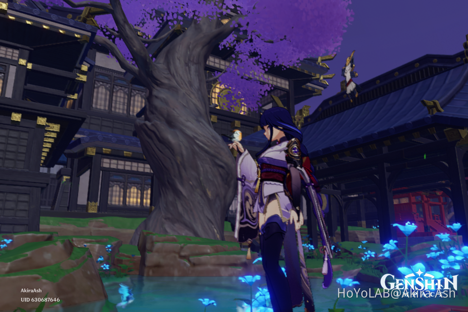 Finally achieved Sakura Tree lvl 40 and startes decorating the new ...
