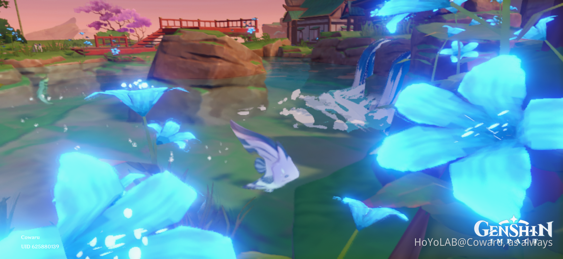 Fishy Genshin Impact | HoYoLAB