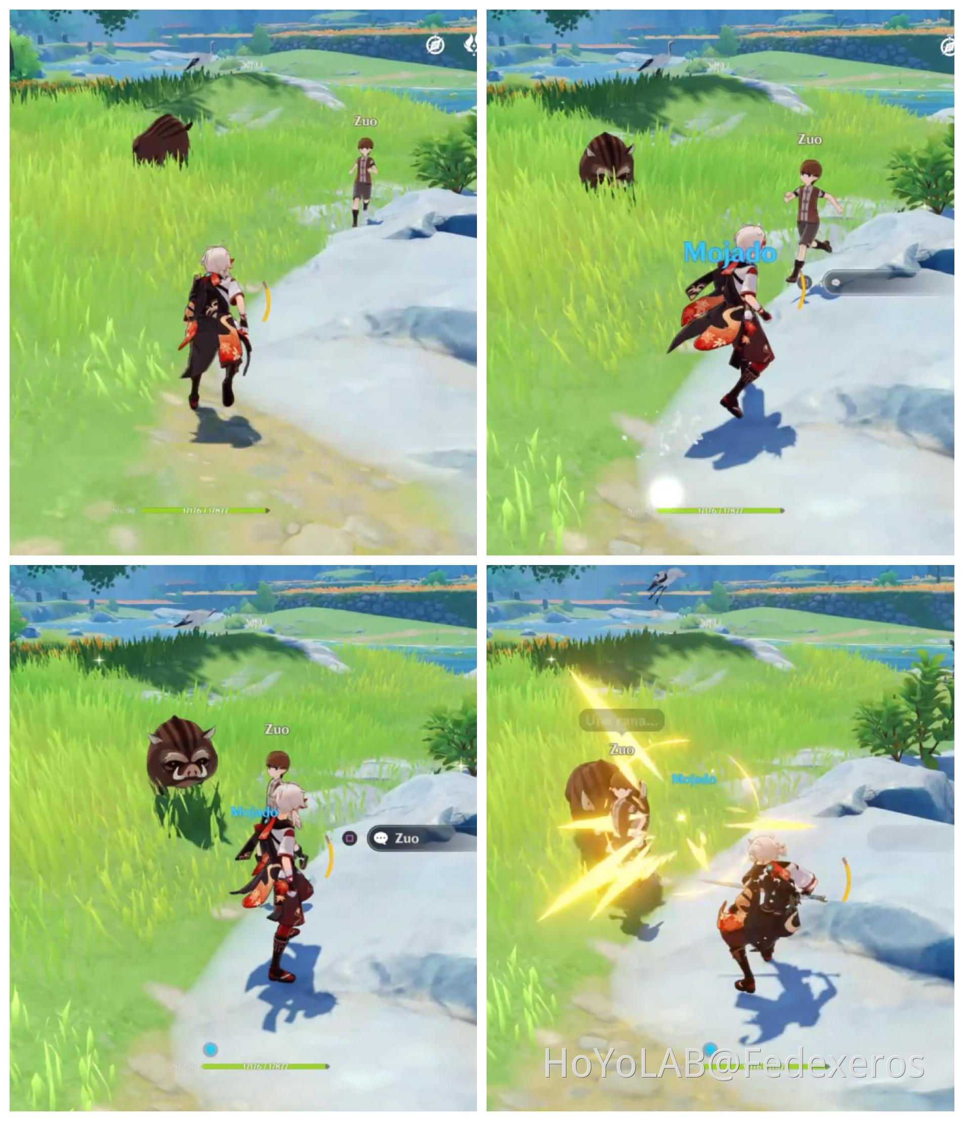 Una rana? Genshin Impact | HoYoLAB