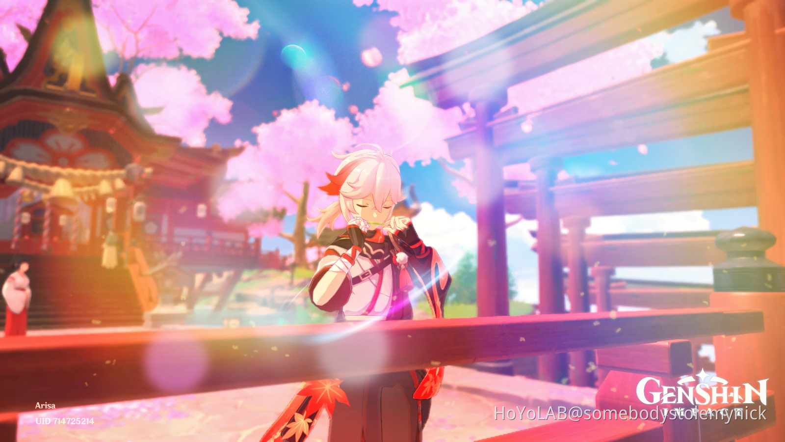 Kazu Genshin Impact | HoYoLAB