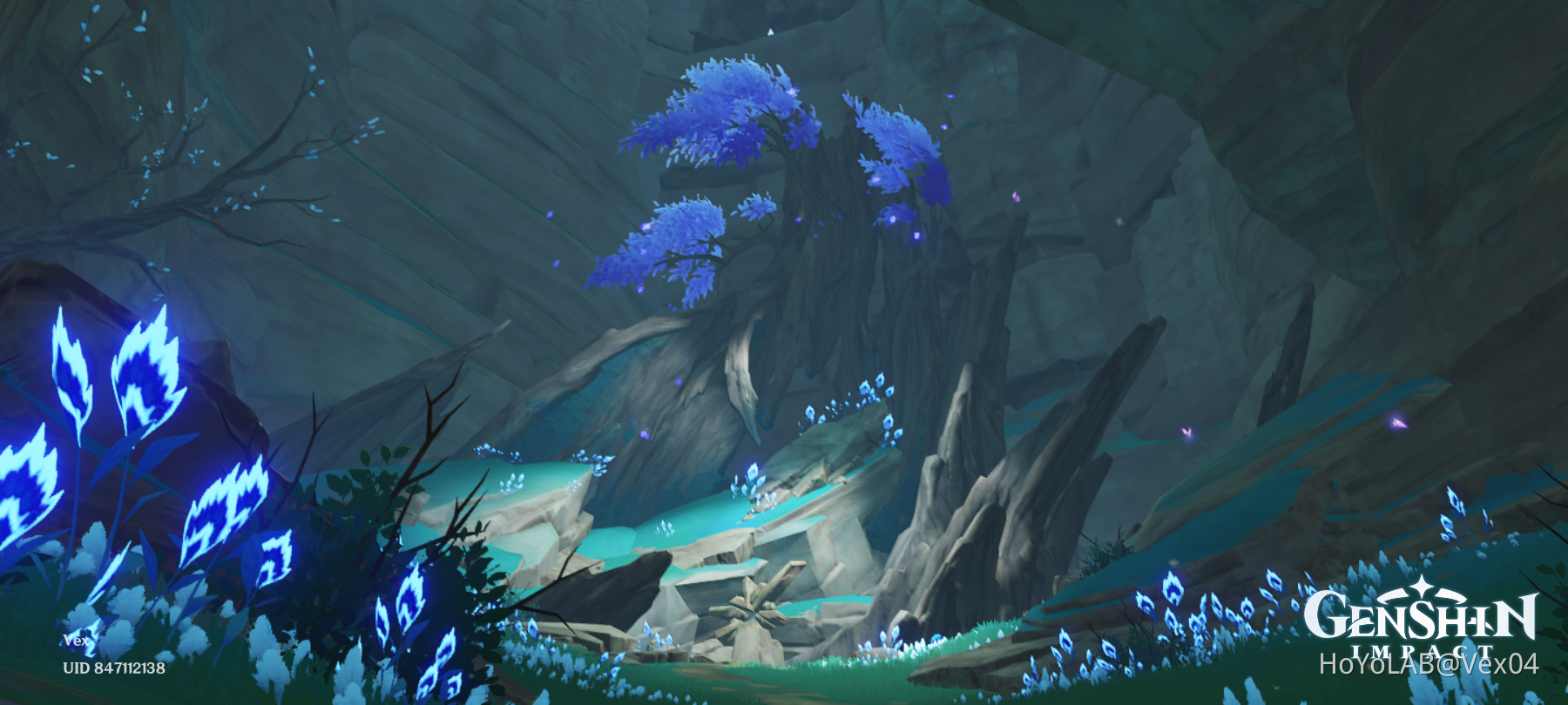 Tsurumi island tree Genshin Impact | HoYoLAB