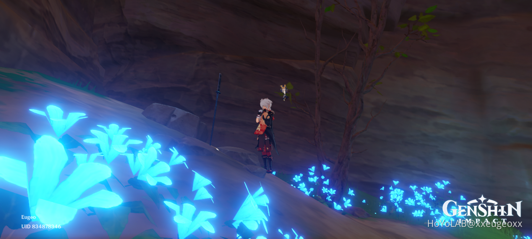 Song for Tomo Genshin Impact | HoYoLAB