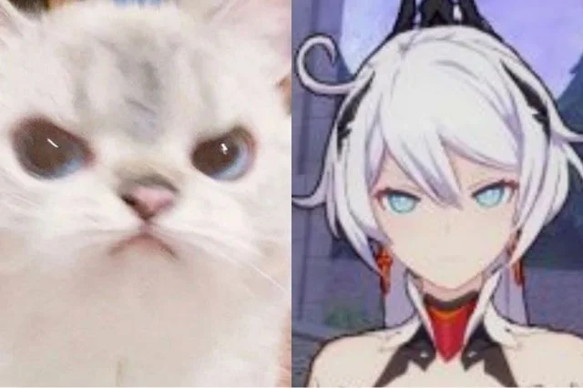 Kiana is a cat Honkai Impact 3rd | HoYoLAB