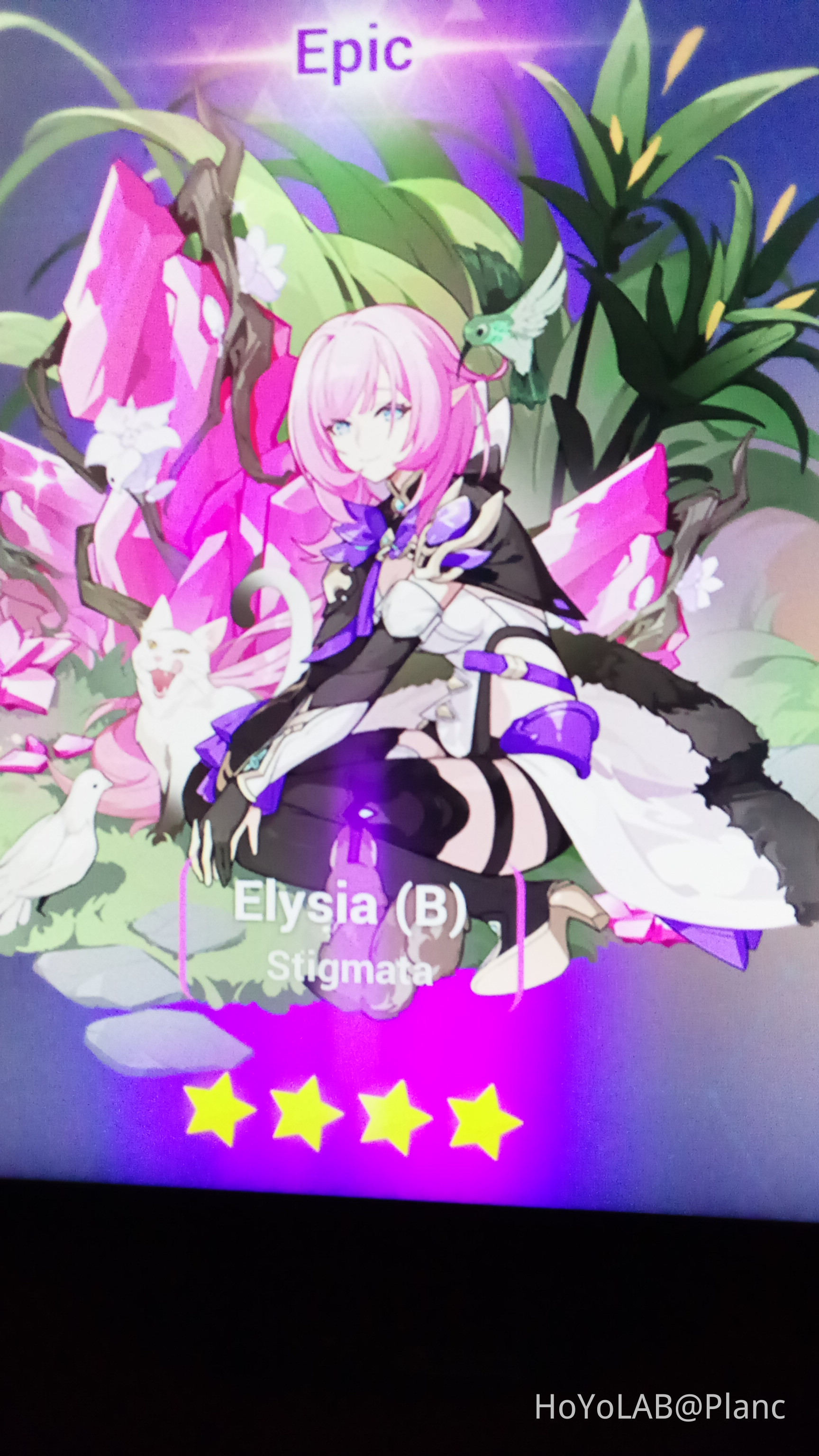 I got Elysia's stigma again Honkai Impact 3rd | HoYoLAB