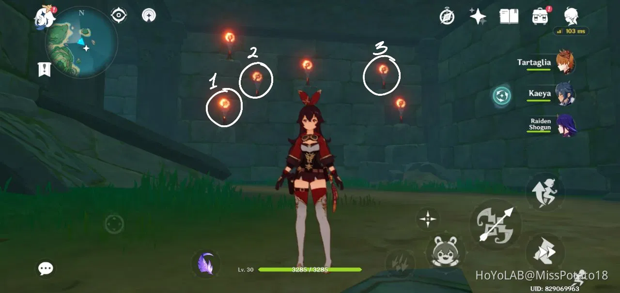 Torch puzzle tsurumi island Genshin Impact | HoYoLAB